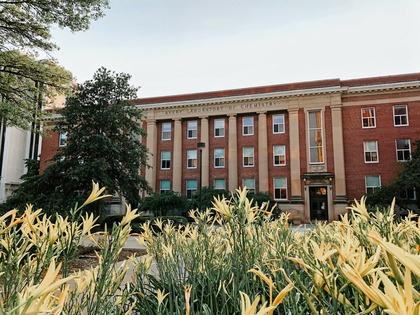 Libraries & Learning Commons | Libraries | Nebraska
